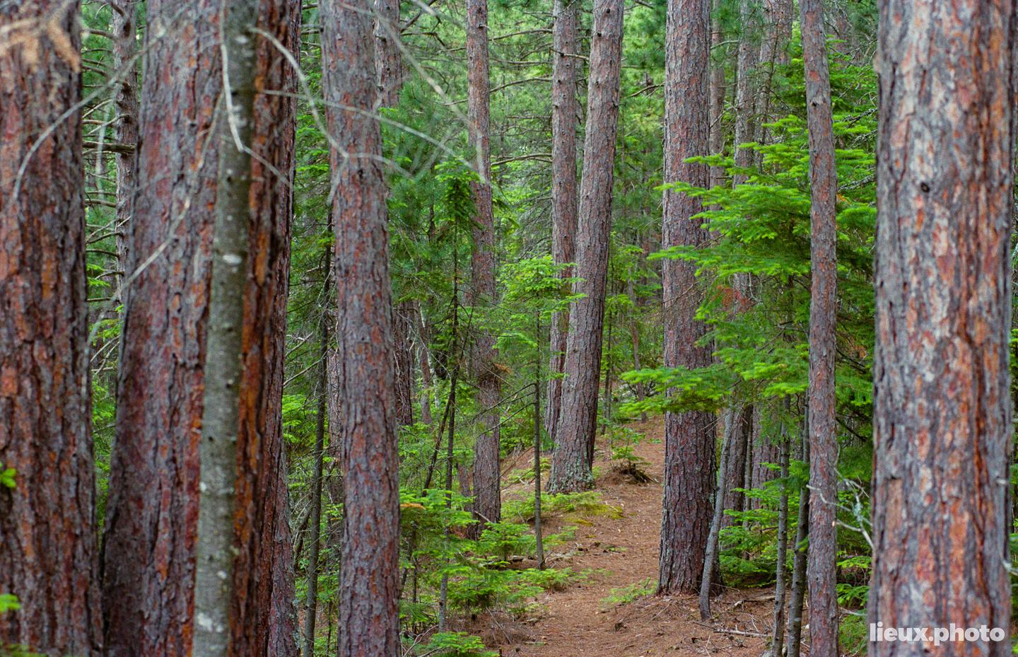 Sentier les Caps | Expédition | lieux.photo